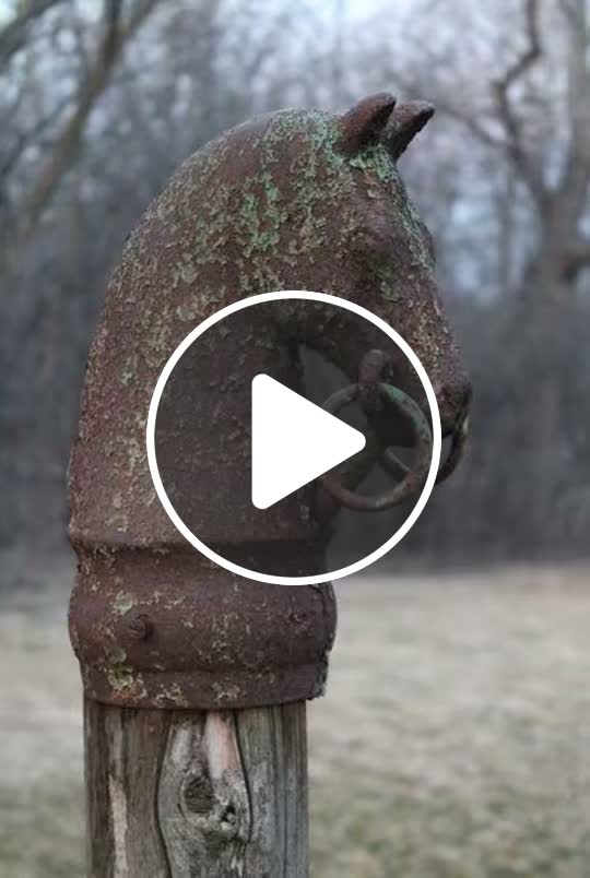 rusty iron horse antique rescue - NewsBreak