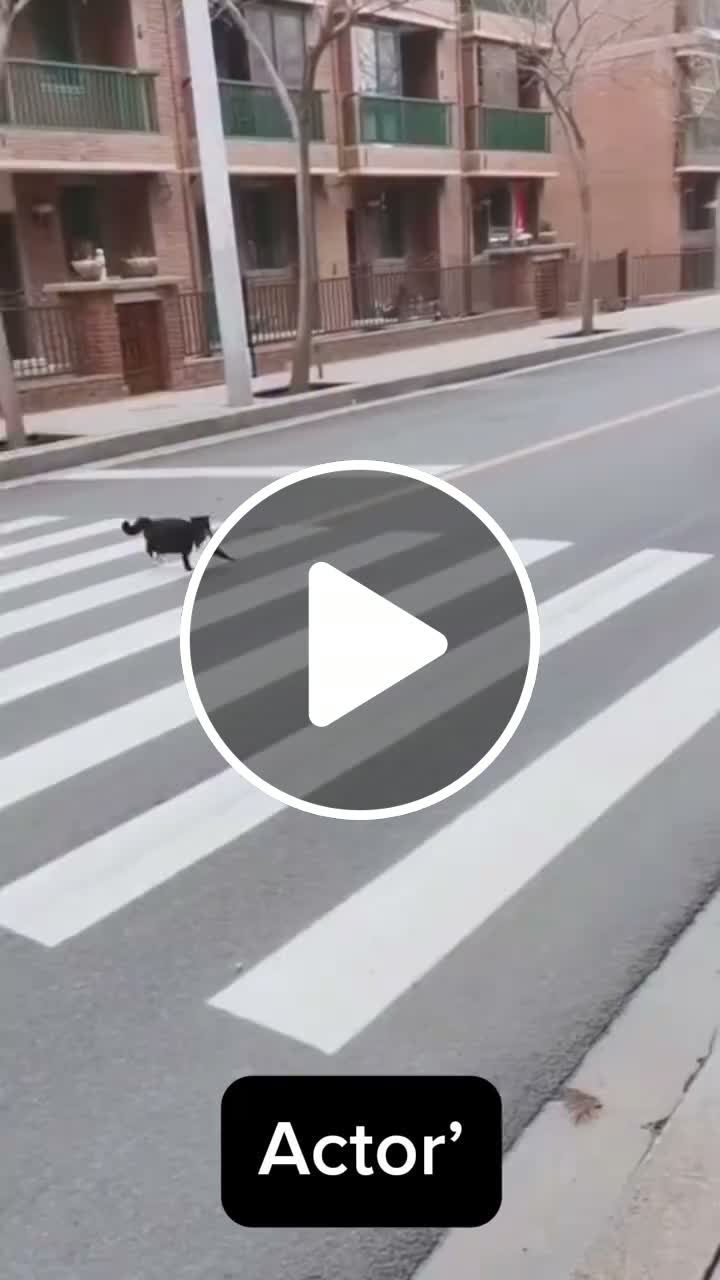 Best actor of the years - NewsBreak