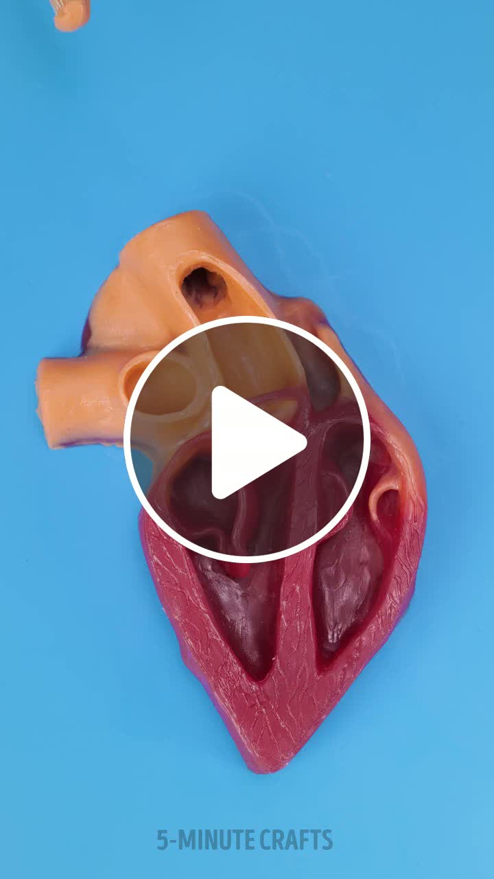 Surgery Explained A Closer Look at Everyday Procedures - NewsBreak