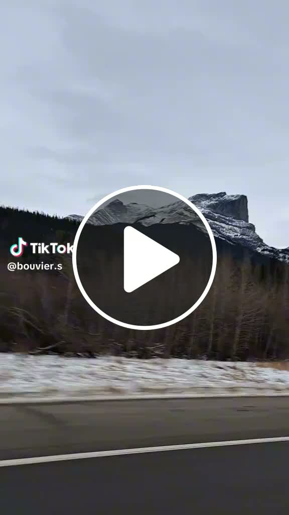 Nature’s therapy. - NewsBreak