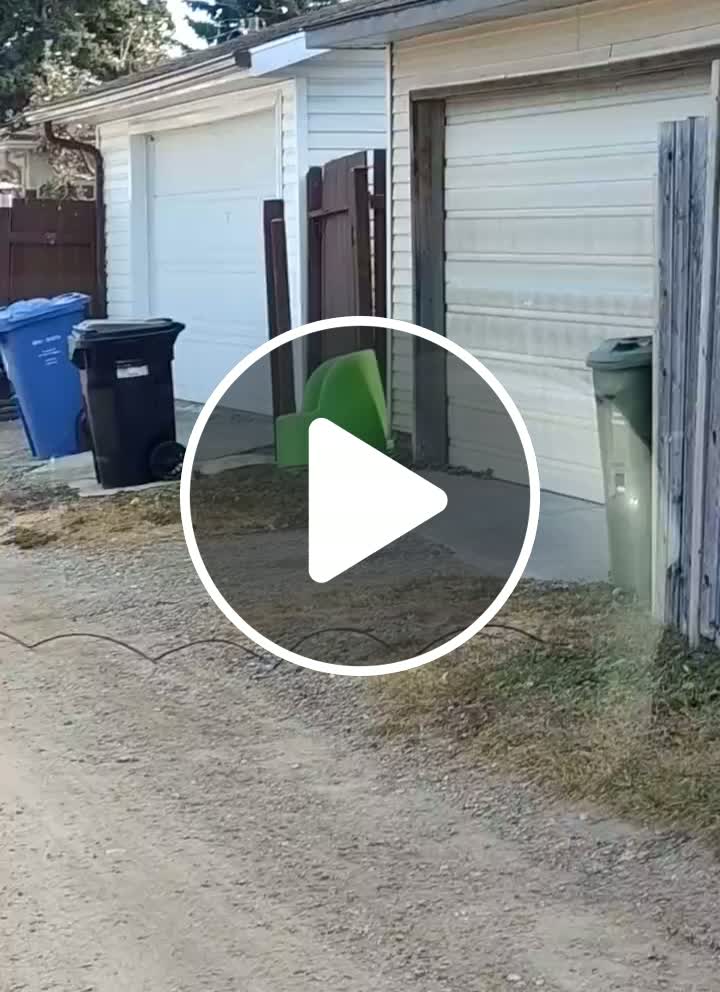 Mother goes overboard on Taylor Swift cruise after crew allegedly ...