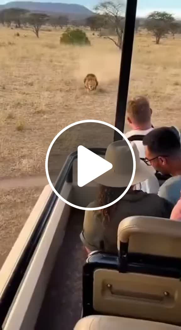 #TooFunnyToScroll #viral #funny I thought it was AI until he pulled the ...