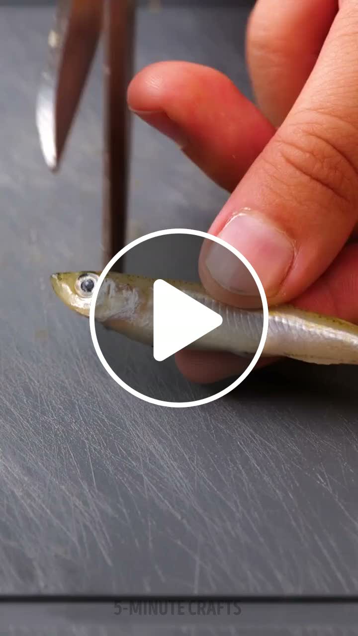 How to Keep Fish Fresh for Days - NewsBreak