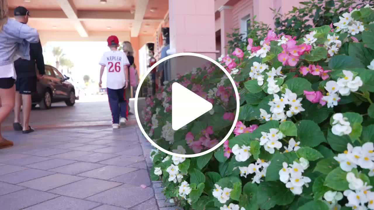 Pink Shell donates 500 teddy bears to children's hospital - NewsBreak