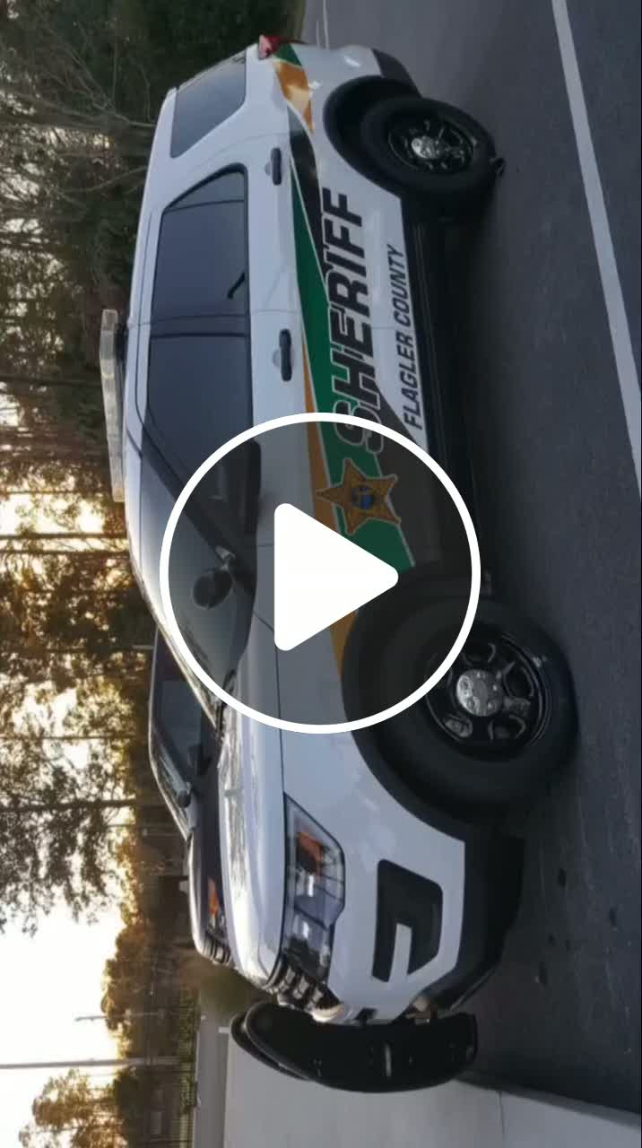 Popeyes Employees Shaunta Johnson, Chaniqua Richberg Accused of ...