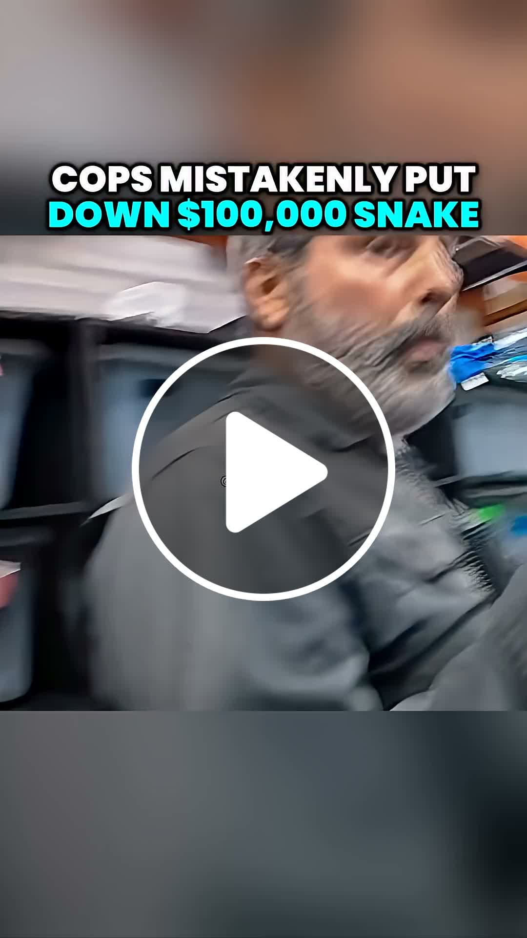 Cops Mistakenly Put Down $100,000 Snake - NewsBreak