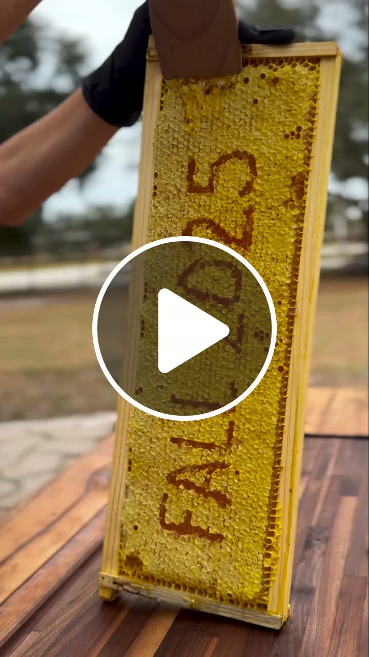 #trending #challenge#funny#fightcamI - NewsBreak