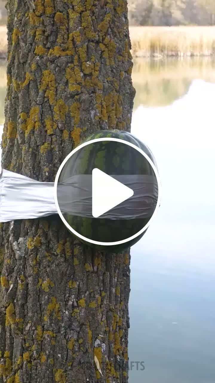 The Outdoors Make Every Meal Taste Insane - NewsBreak