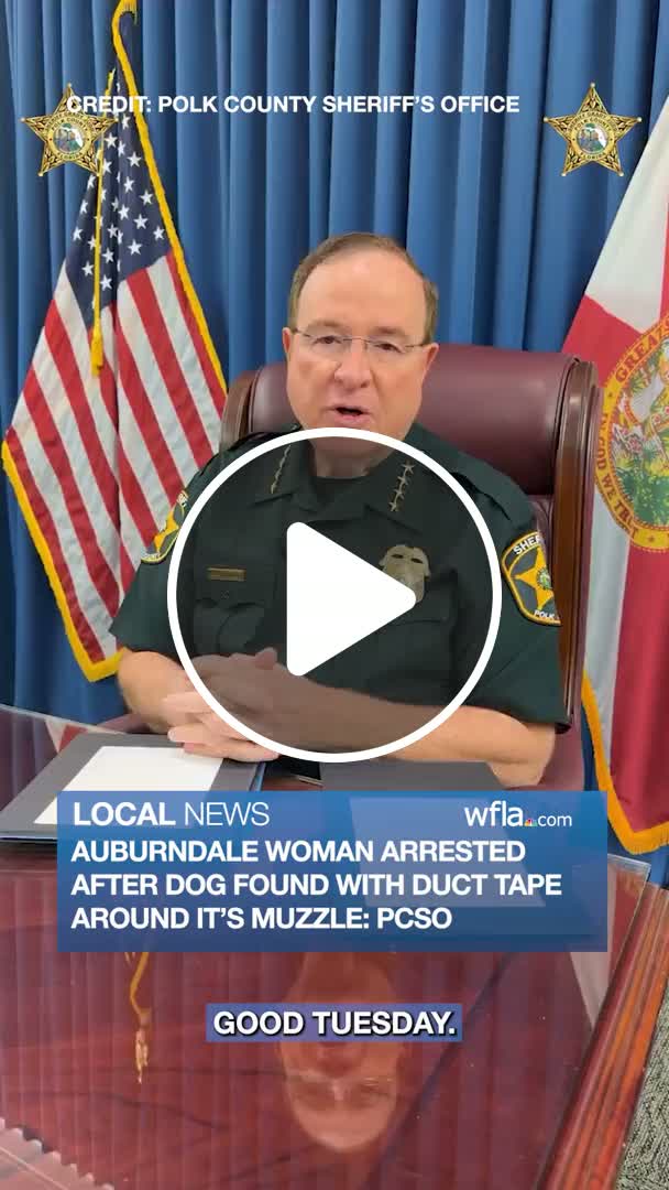 Auburndale woman arrested after dog found with duct tape around muzzle ...