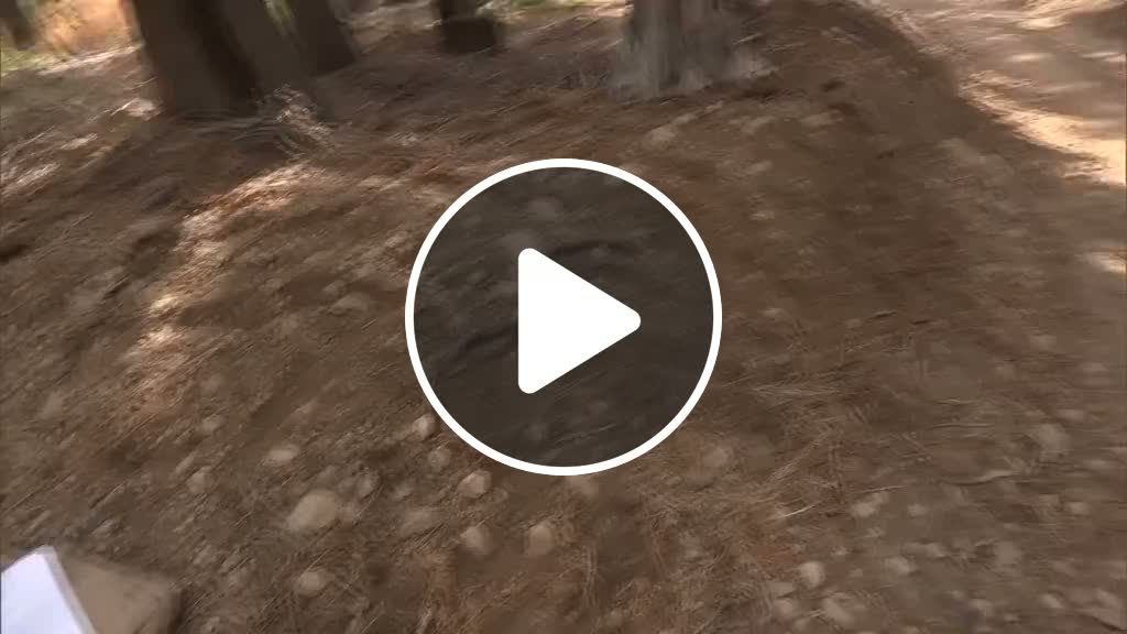 Tami Laird was driving her 9-year-old son Stirling to Cub Scout Camp ...