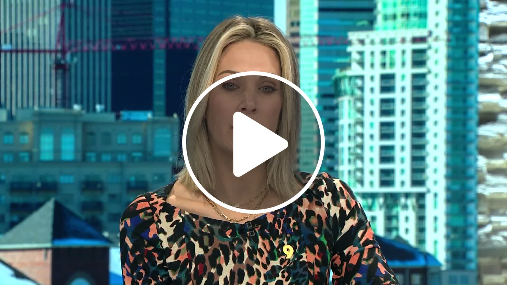 CPW says staff received threats after killing 2 mountain lions - NewsBreak