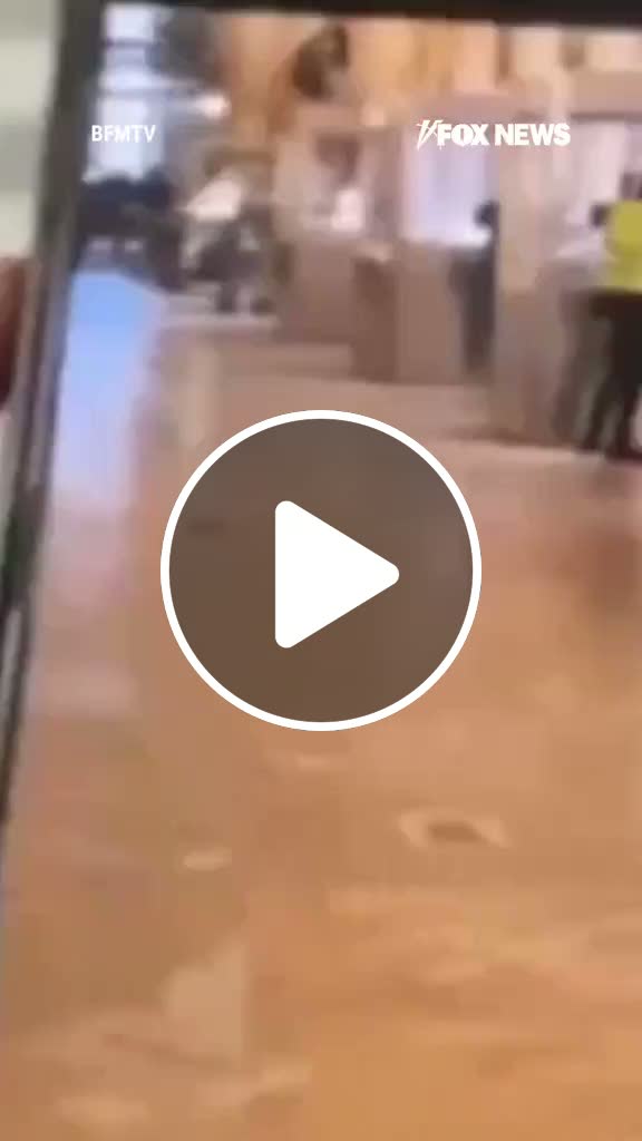 MUSEUM HEIST: New video purportedly shows a Louvre thief in action ...