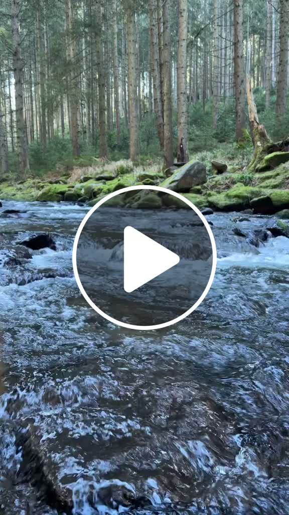 | Would you try freshly smoked fish 🐟🐟 with noodles for true gourmets ...