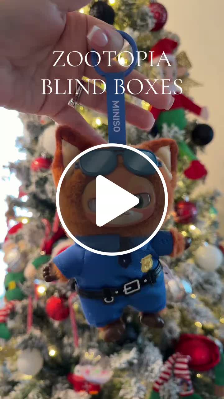 Zootopia blind boxes 🦊🐰 you never know which character you’ll get and ...