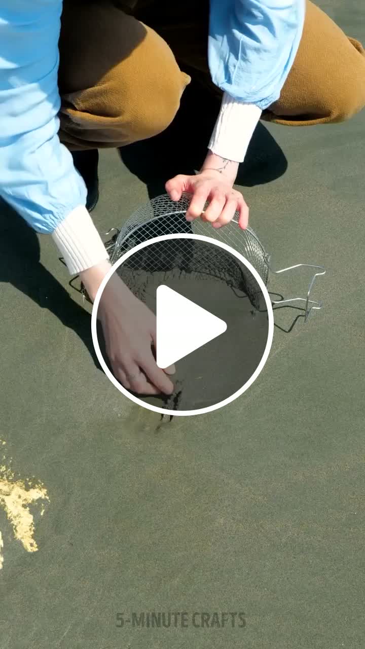 Seashells to Cement An Ancient DIY Technique - NewsBreak