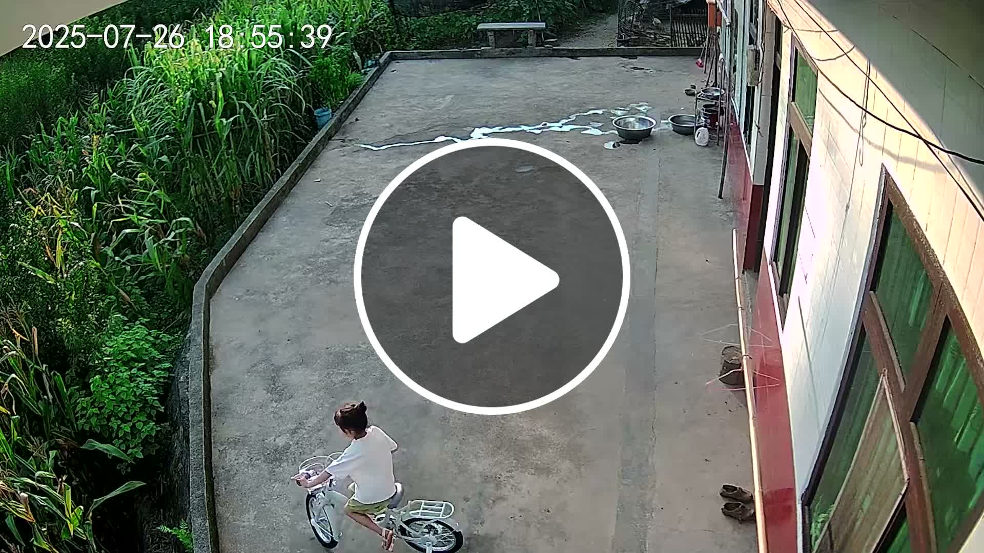 Girl falls over garden wall while pedalling push bike round yard - NewsBreak