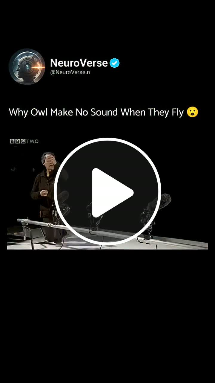 simply amazing 😍 - NewsBreak