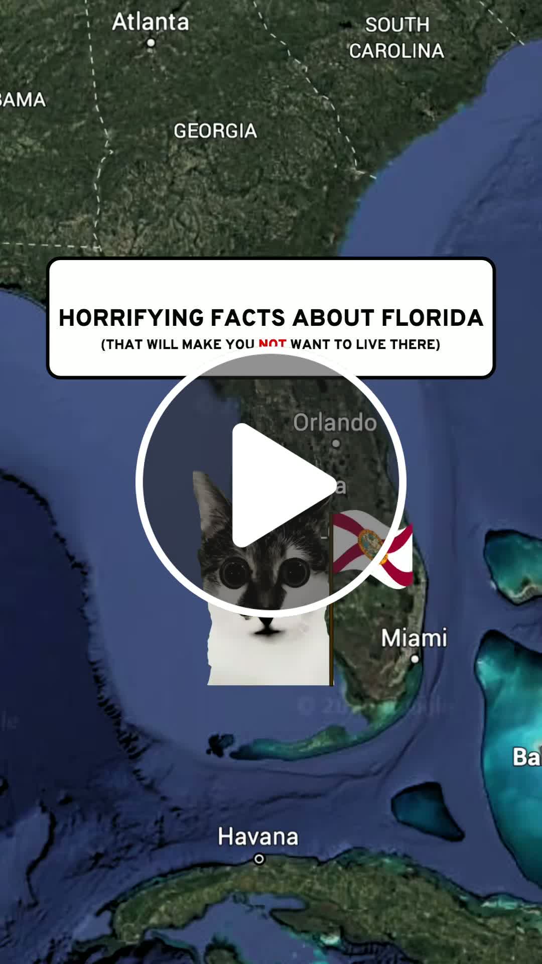 HORRIFYING Facts About Florida #florida #usa #scary #horror - NewsBreak