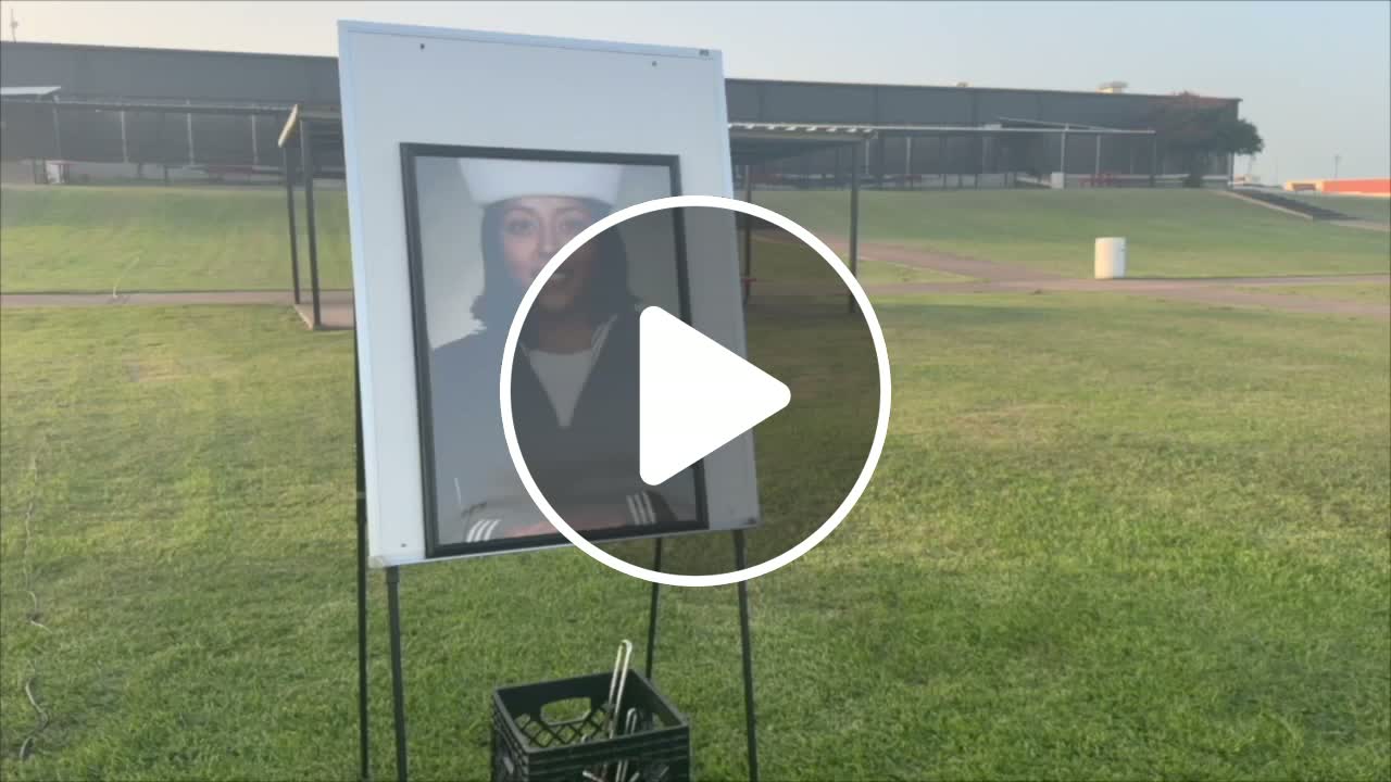 Military accountability amendment introduced after Navy sailor Angelina ...