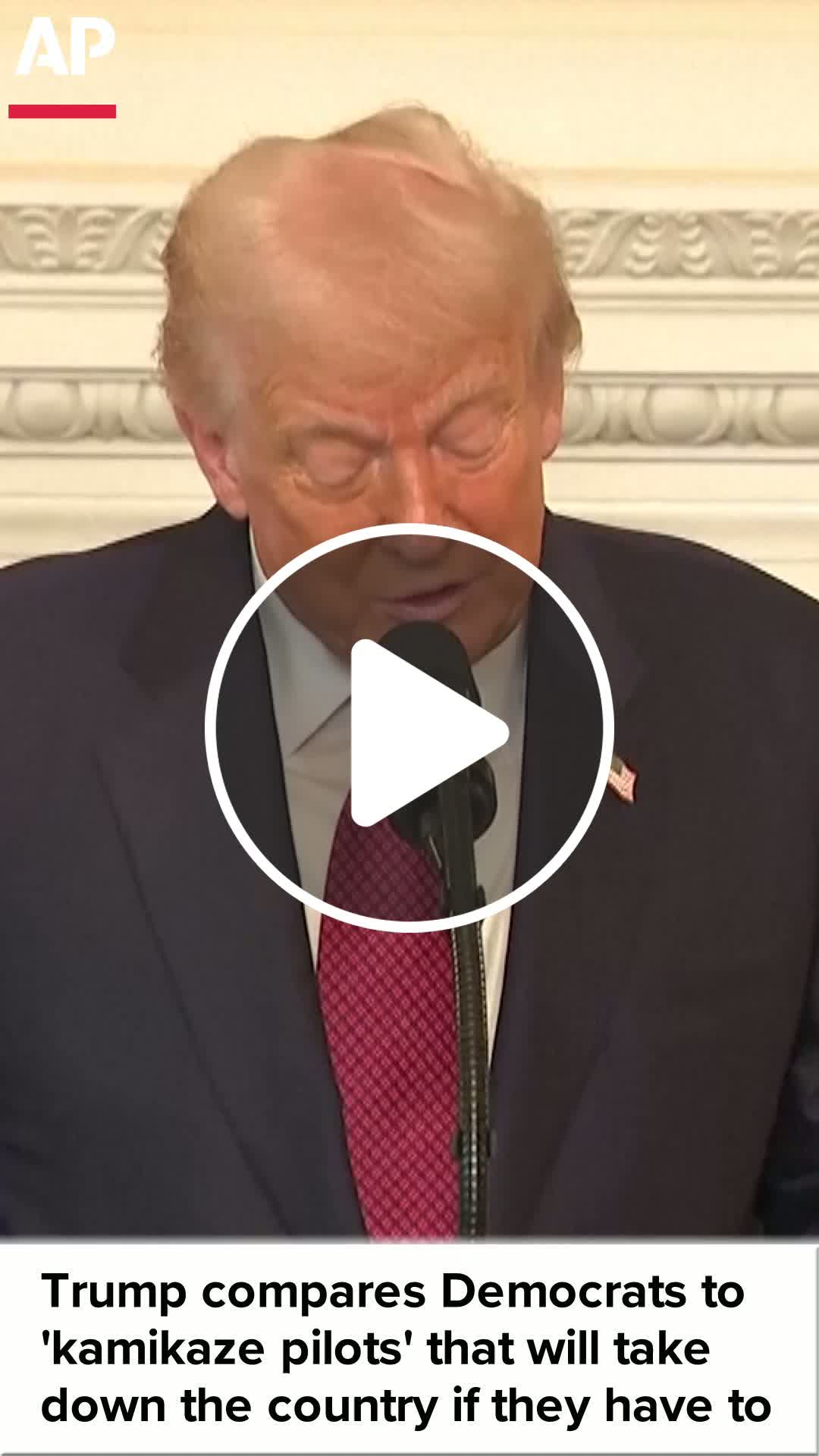 Trump compares Democrats to 'kamikaze pilots' that will take down the ...