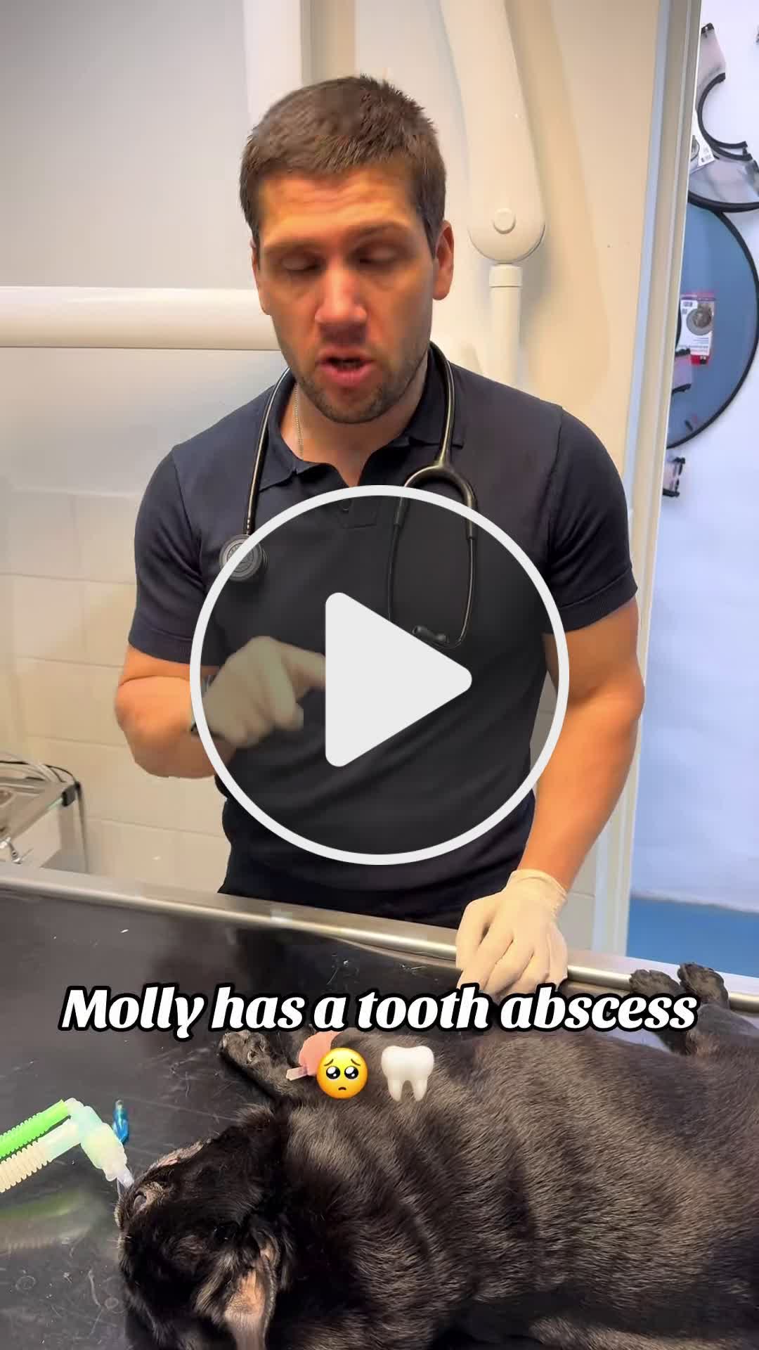 Tooth root abscess Unfortunately they can be common and they are a ...