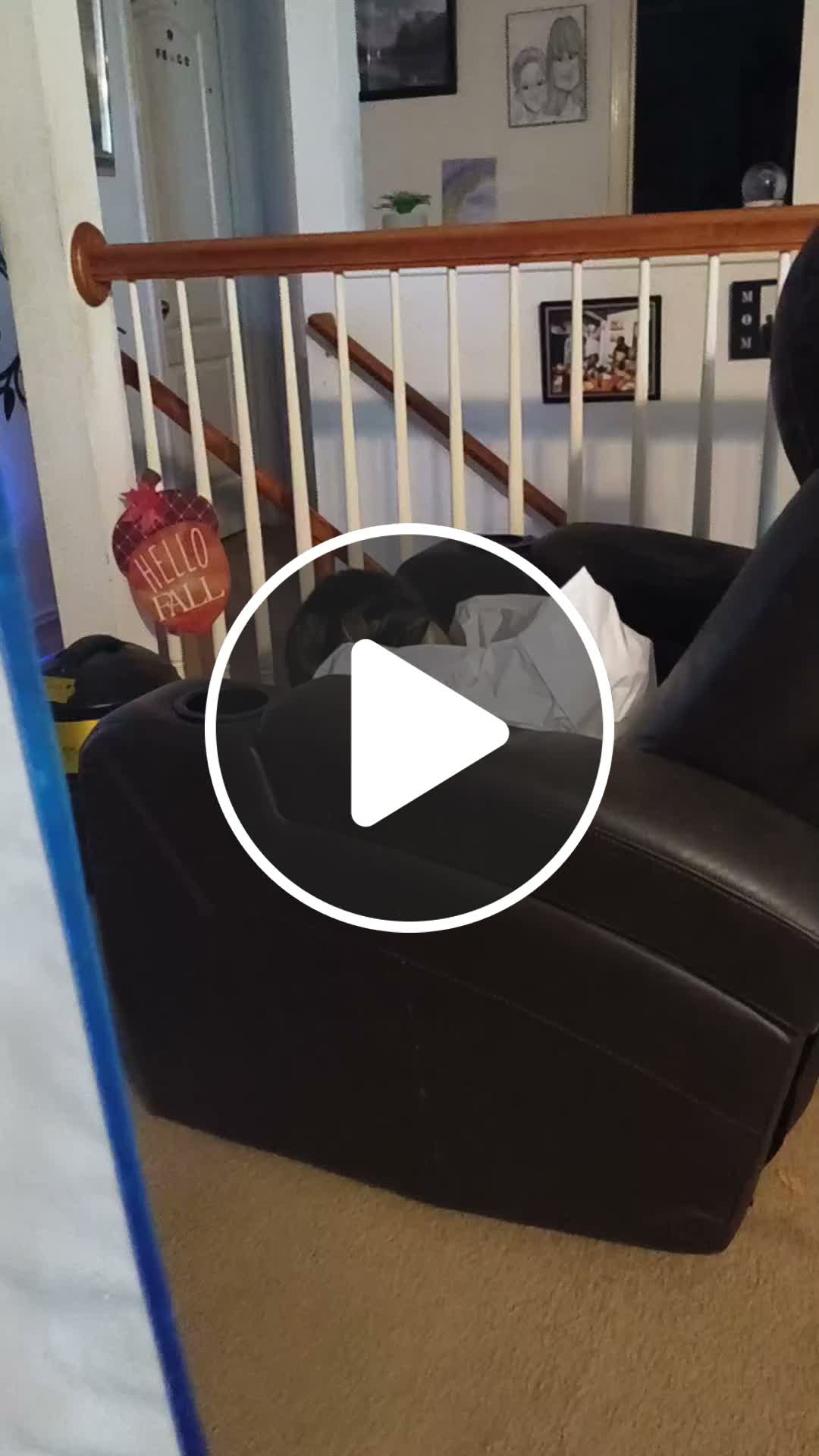 😂😂 Thys guy so nosey ! Gotta love him ️ - NewsBreak