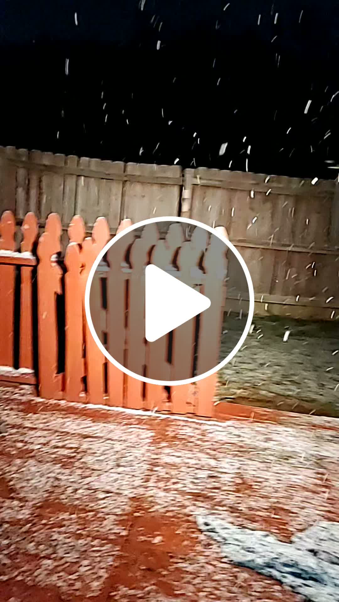 what a weird November snow ever saw. - NewsBreak