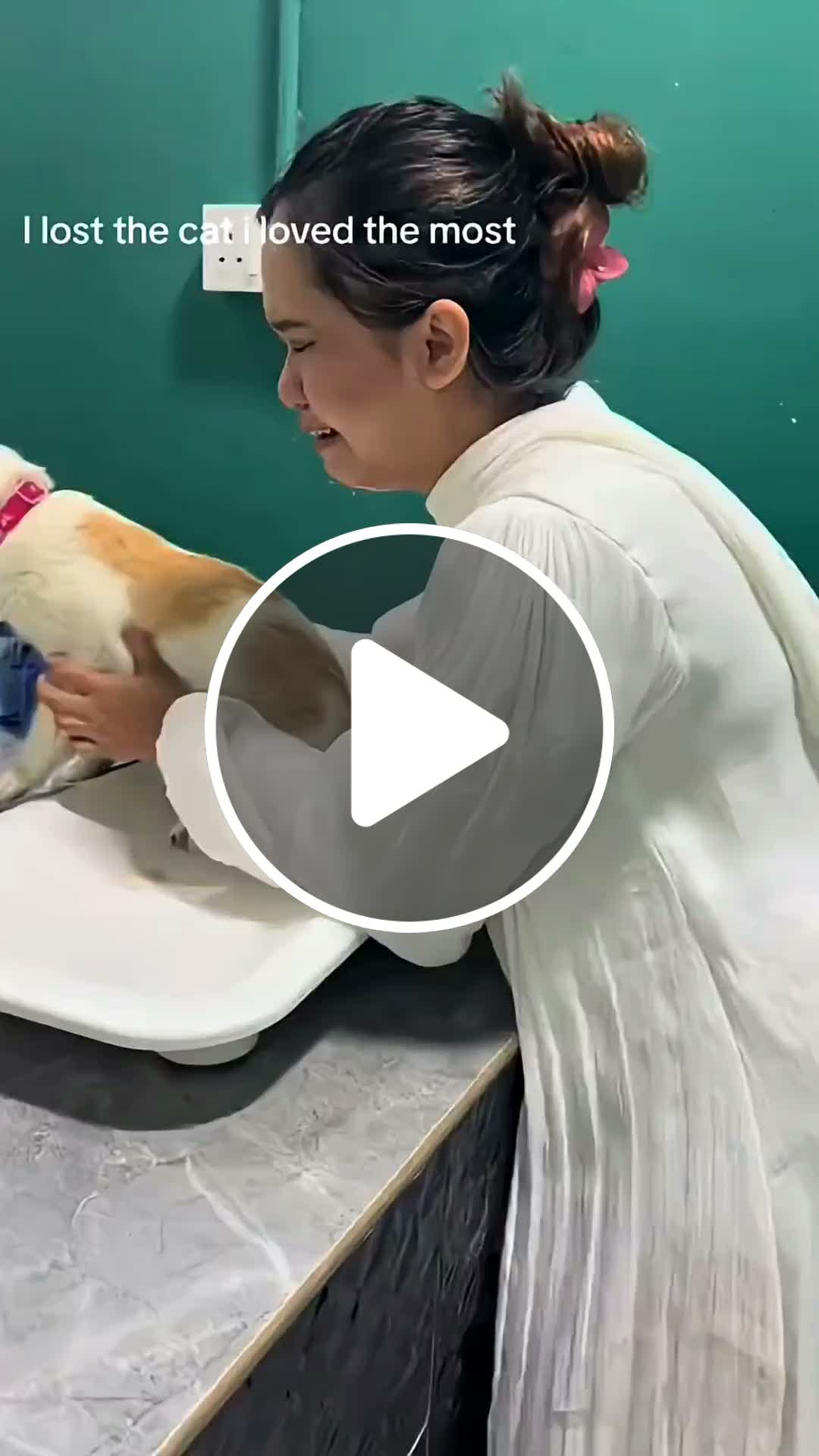 Not here anymore, but never forgotten.🐾🖤#foryou #love #fyp #pets # ...