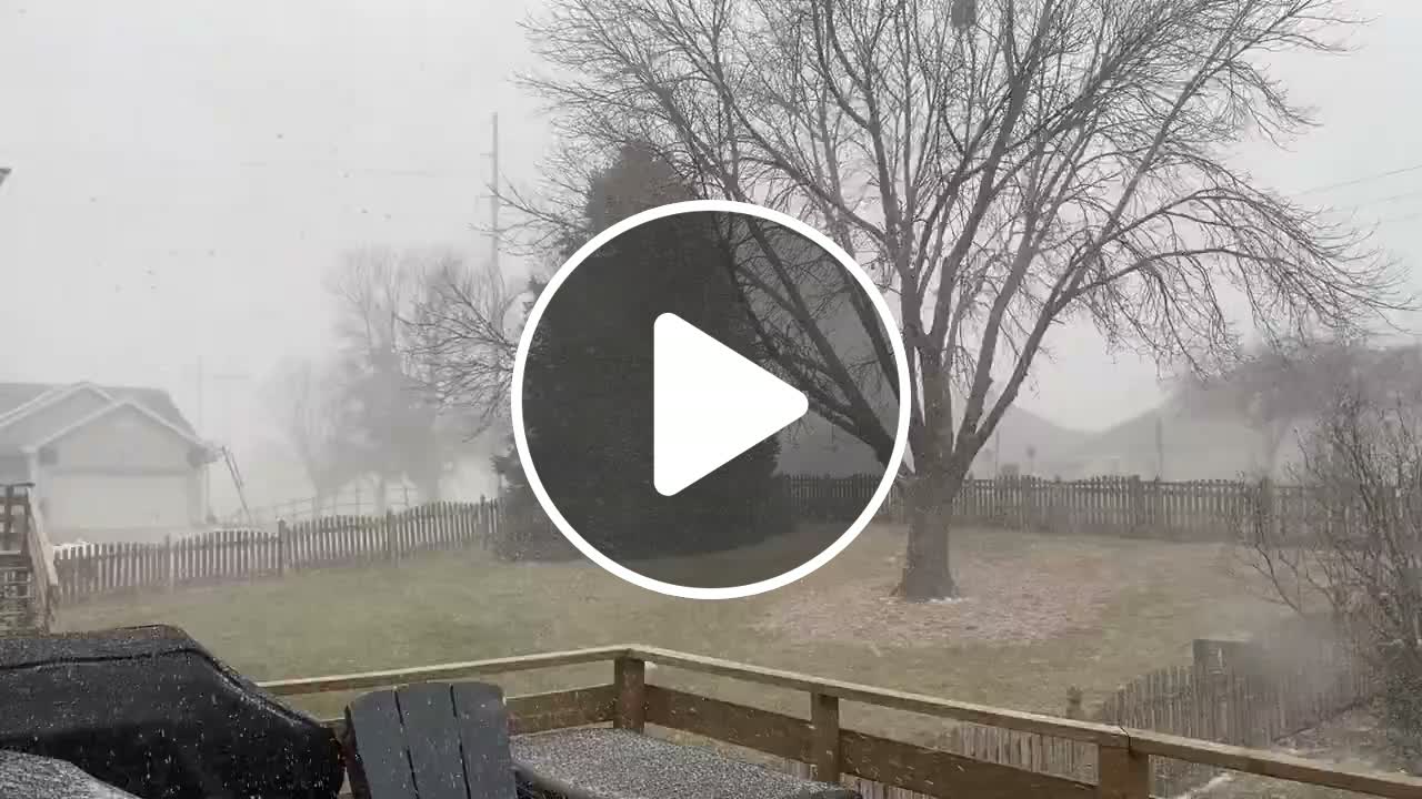 Snow Band Brings Squall to Omaha - NewsBreak