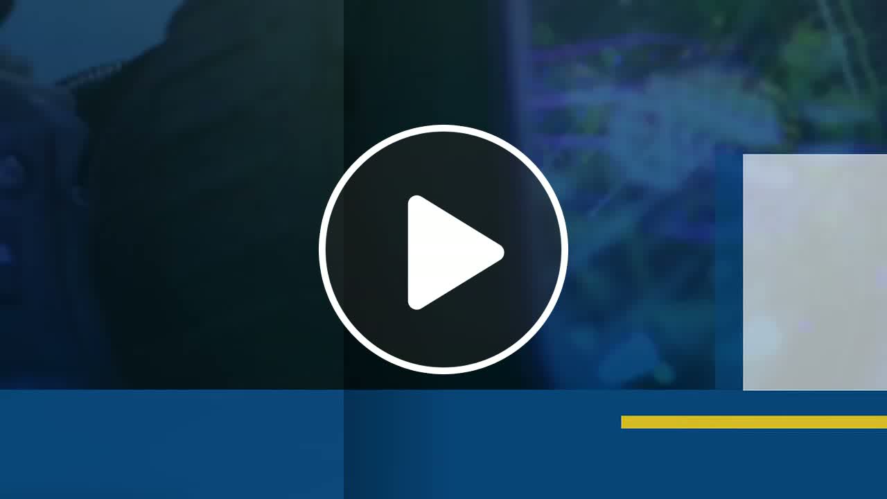 National Blood Donor Month - NewsBreak