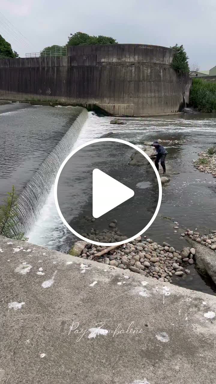 On the edge of the long water fall there are many fish!! - NewsBreak