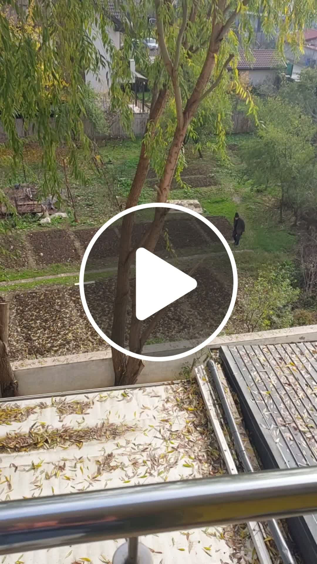 0002- Bushcraft Build & Cook Stone Oven, Wood-fired pizza, Tarp shelter ...