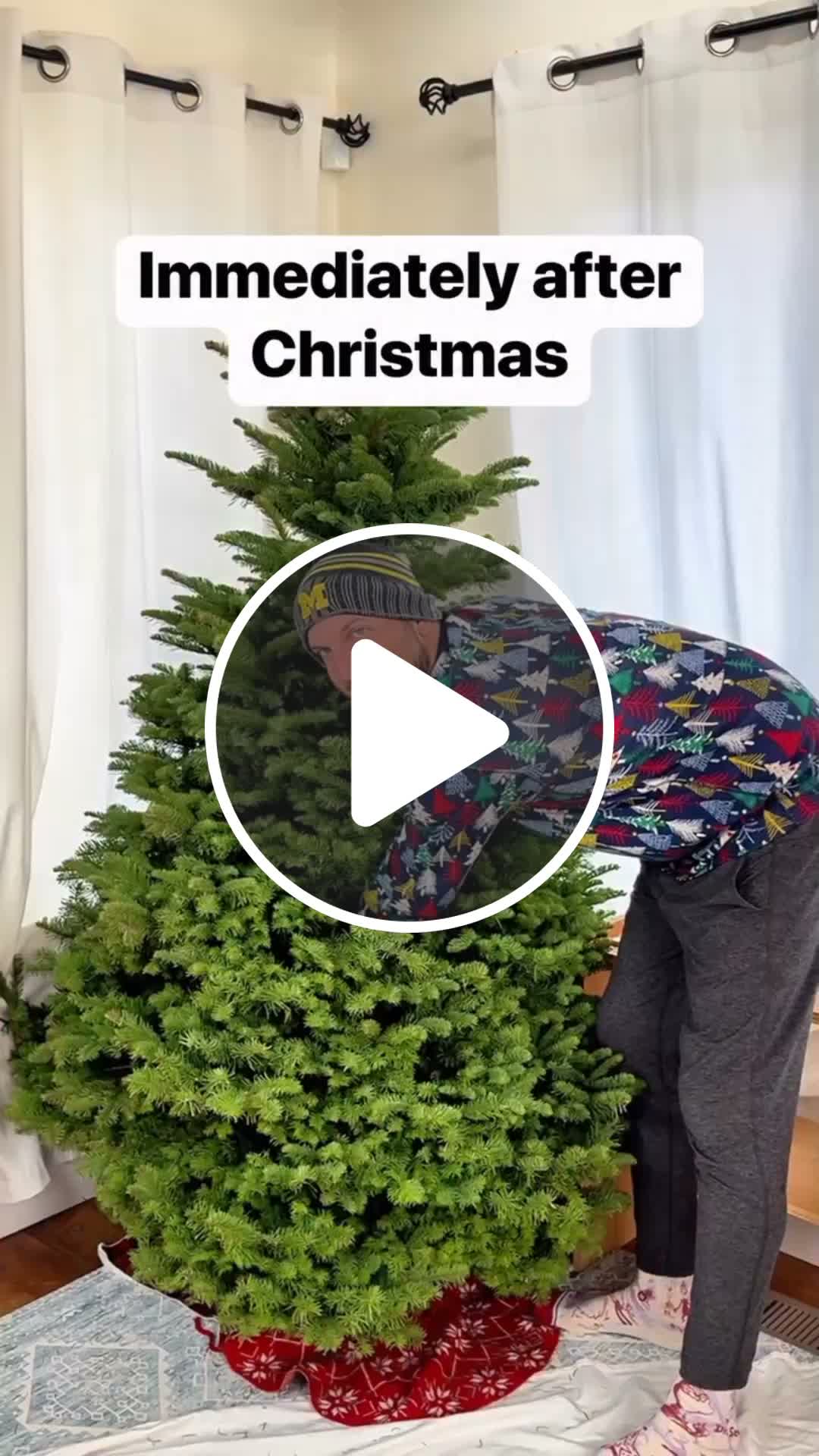I use a bed sheet to carry my real Christmas tree to the curb. Easy ...