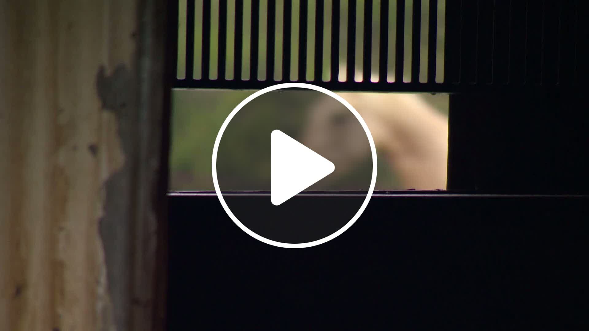 WATCH: Mary Jolly's parents presented with flag - NewsBreak