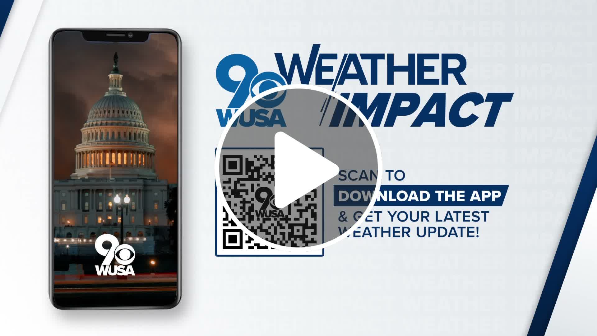 Catherine Hoggle scheduled to appear in court - NewsBreak