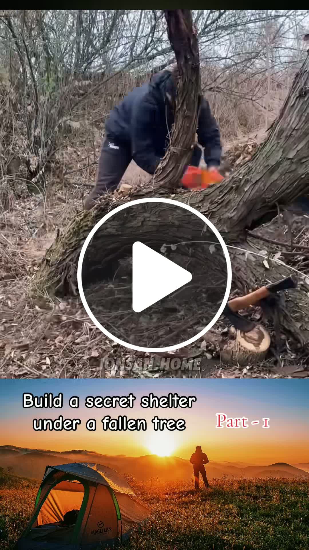 Build a secret shelter under a fallen tree - part 1 #survival # ...