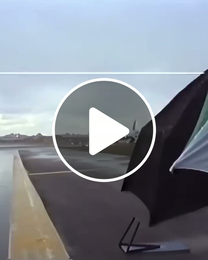 One of the most fascinating displays ever caught on camera at first glance, it almost looks this ...