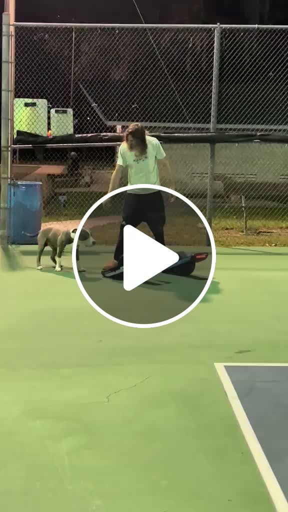 Dog Shows Off Skills on Electronic Onewheel Skateboard - NewsBreak