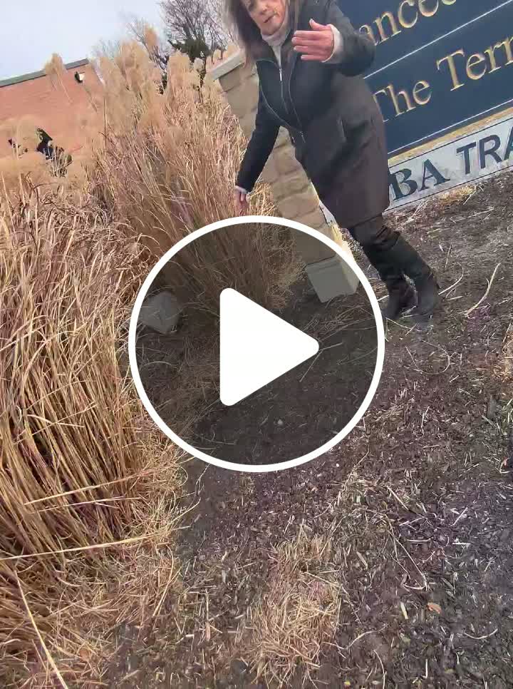 Ruby Tuesday fired a manager after he worked Christmas Day. A month ...