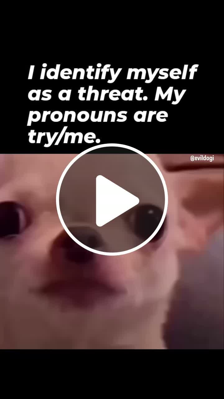 Download😂😂 Follow for daily evil & hilarious memes ⭐ Official Evil Dog ...