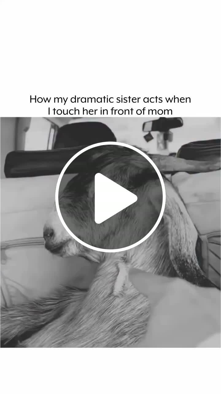 Sometimes our siblings be dramatic lol😂😂😂#funny # meme - NewsBreak