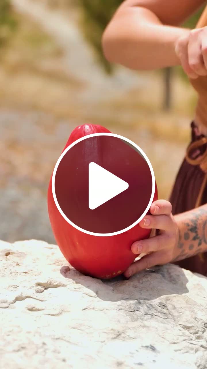 Coconut Lip Balm Made by Her - NewsBreak