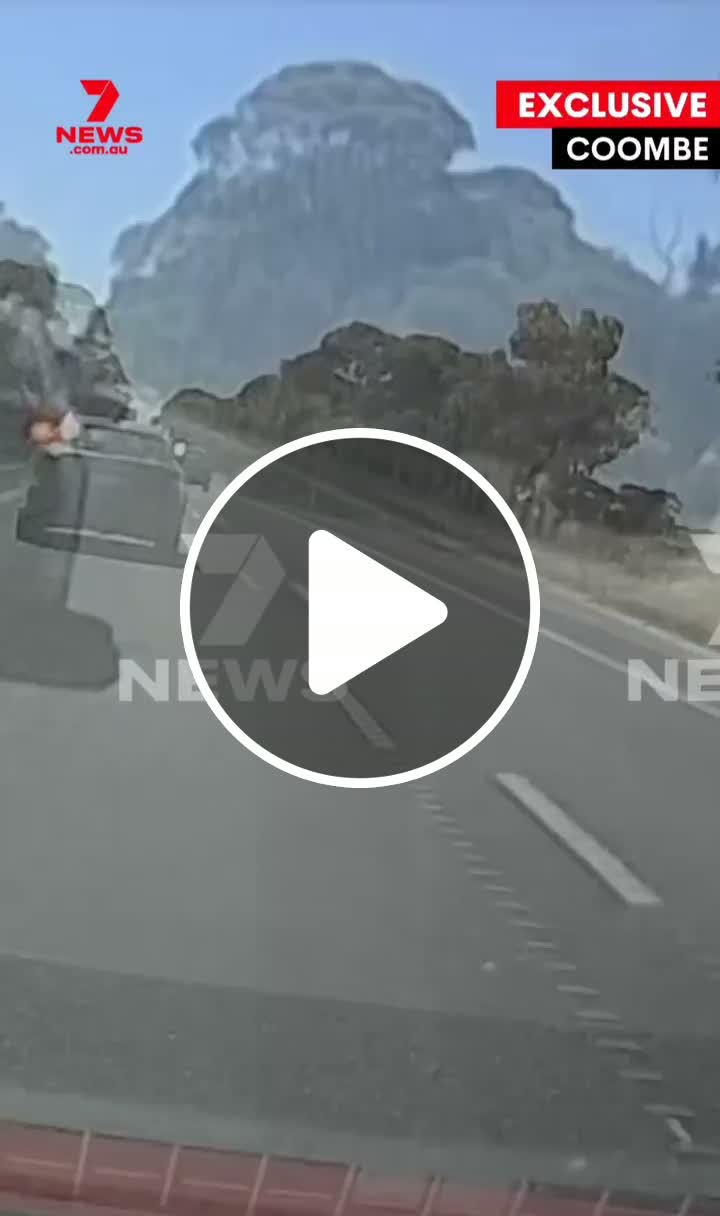 smart car, dumb driver - NewsBreak