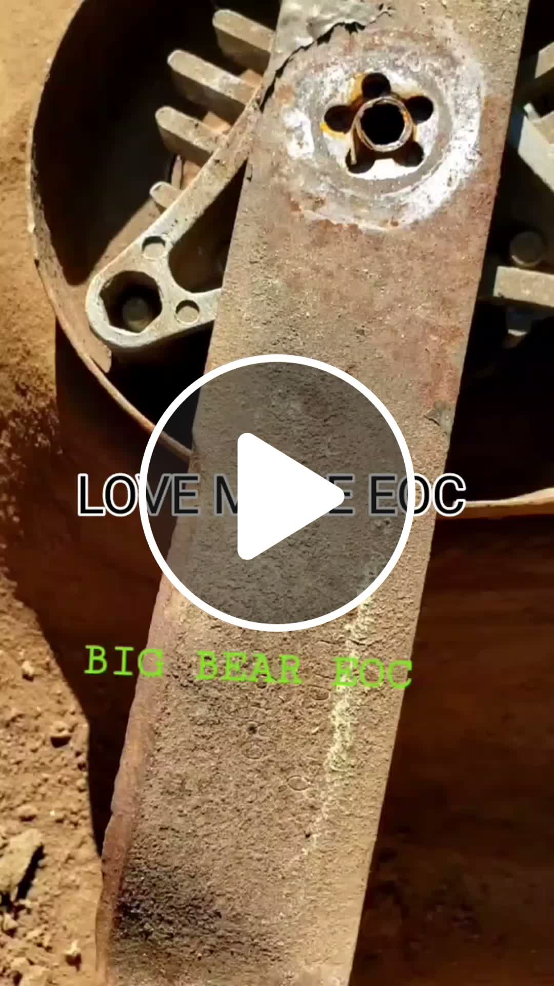 LOOK ON SEE ONE GROUP 7 LOVE LOVE YOU BIG BEAR EOC ANIMAL PLANTS🪴 ...