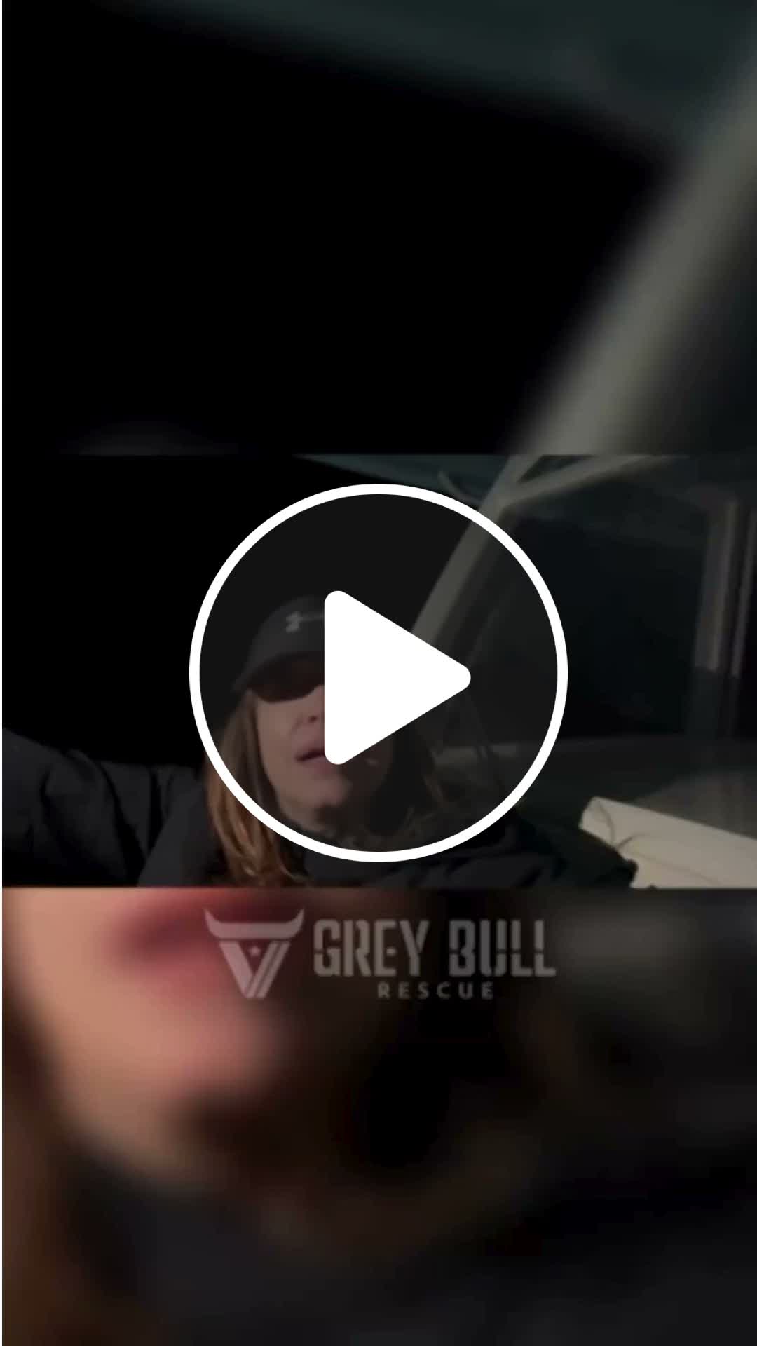 Grey Bull Rescue Foundation shows escape of Venezuelan opposition ...