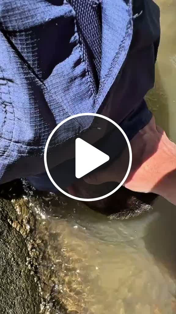 3ft. Deep Boil Hole leads to Gold Discovery #goldprospecting @Picket ...