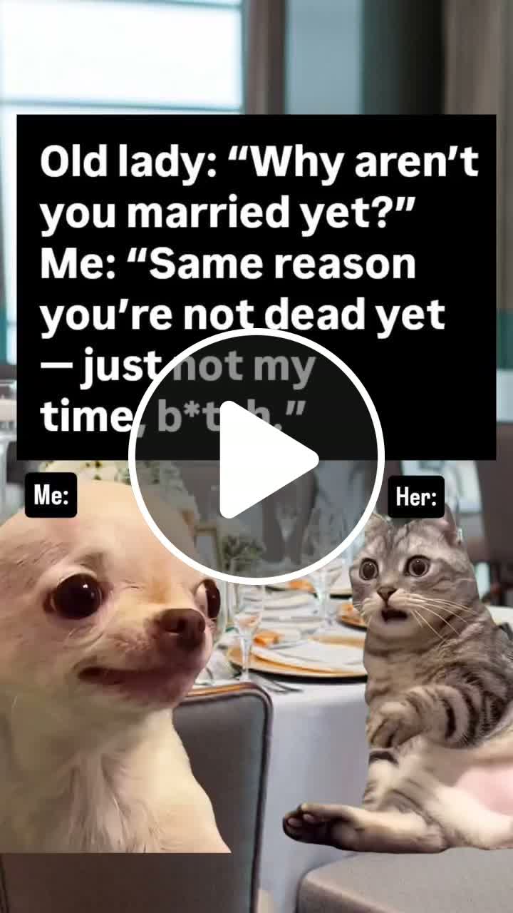 Download🤣 The funniest Evil Dog official Meme page Follow or you won't ...