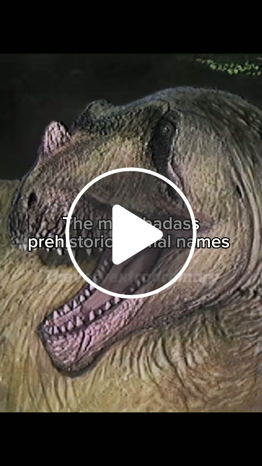 The coldest prehistoric animal dinosaur name meanings of all time Which one is the best Let me ...