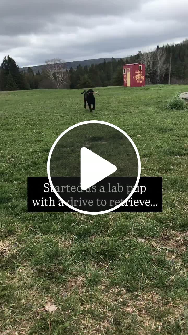 Trump Washes Hands of Kennedy Center ‘Deficit’ After Takeover - NewsBreak