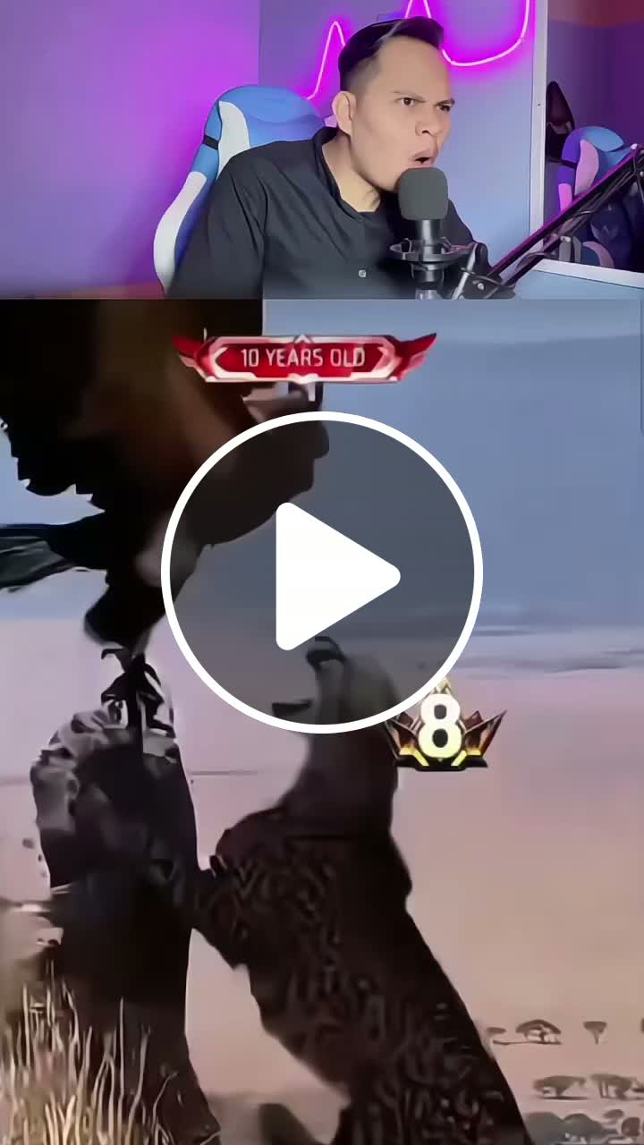 Which type of bird is this - NewsBreak